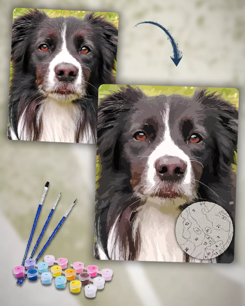 Painting By Numbers Custom Pets - PaintByNumbersUsa.COM